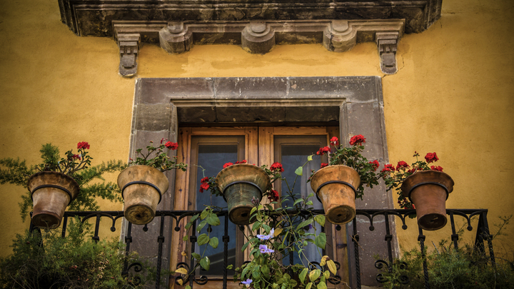 Work in Mexico: Getting a Mexican work visa - Wise